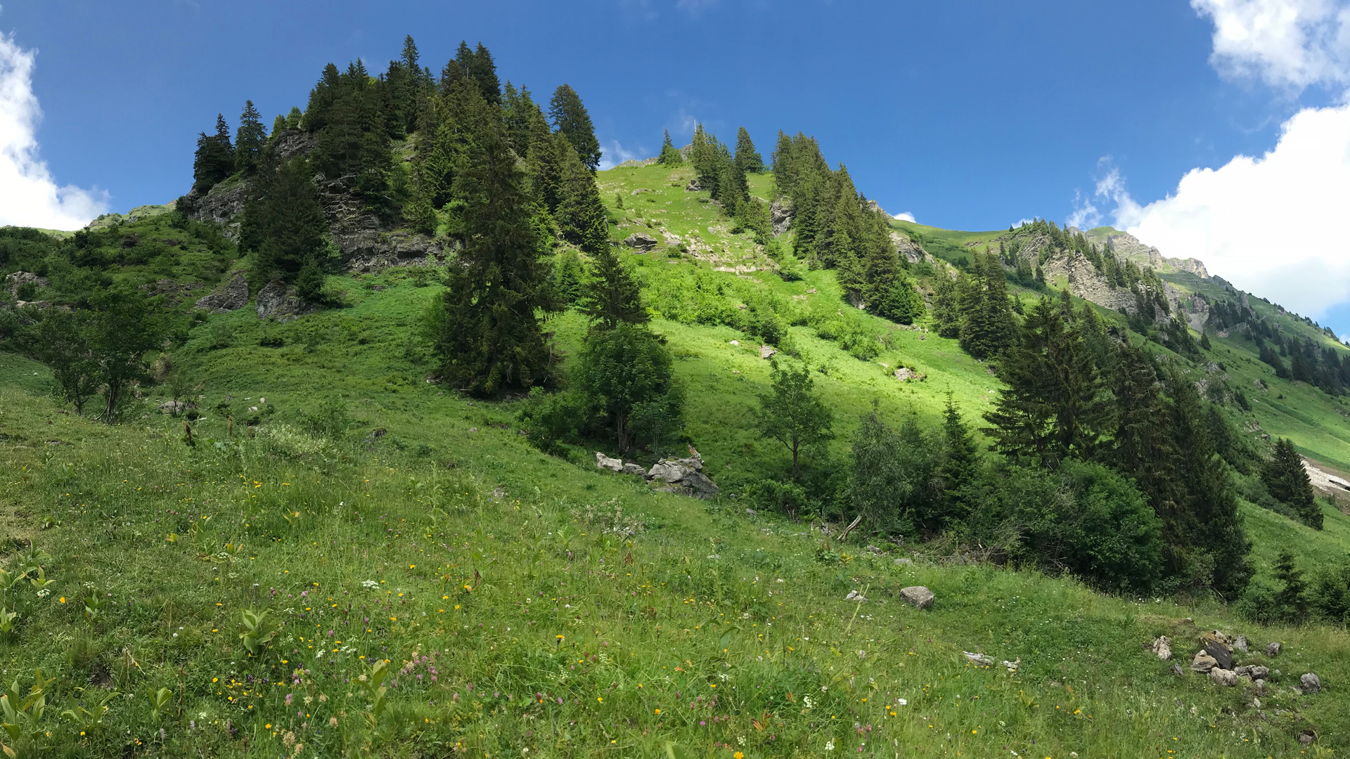 REDELK - Advanced Comfort Apparel